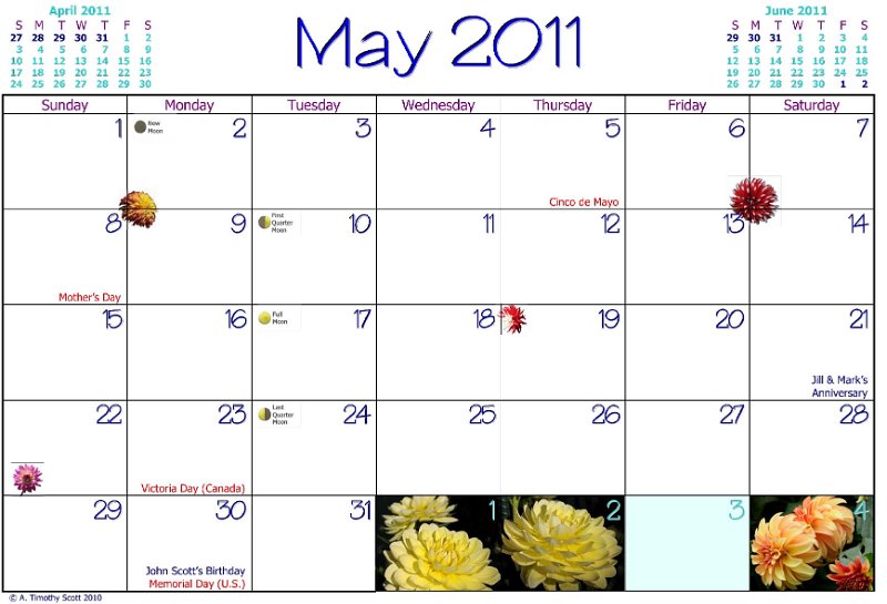 Tim's 2011 Dahlia Calendar/11 May Dates